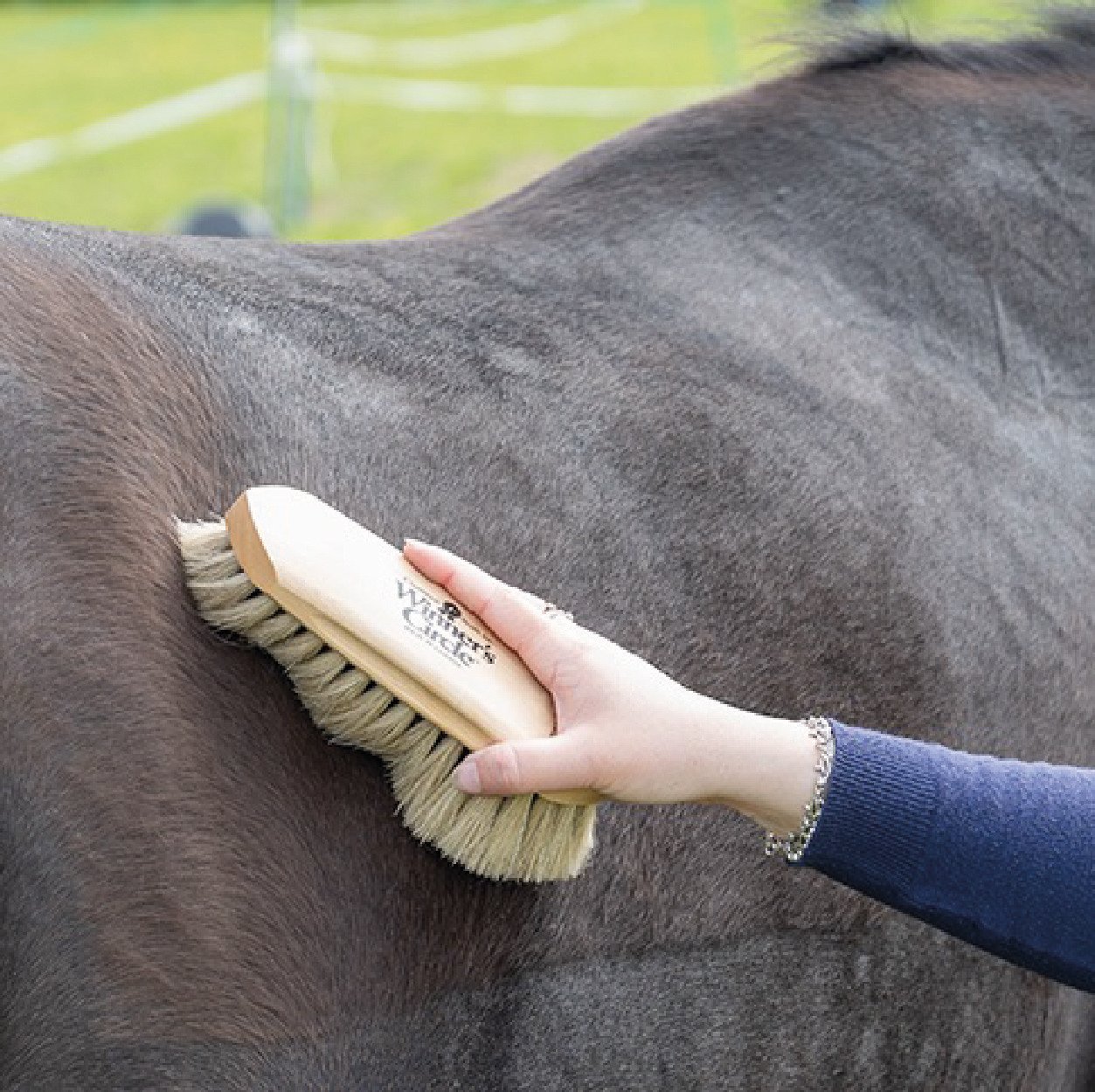 Equestrian Dandy Brushes